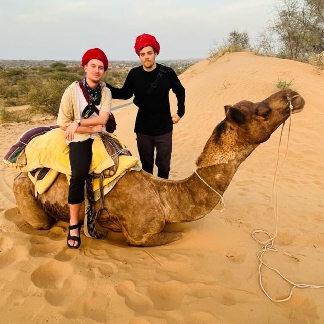 Jodhpur Camel Safari With Traditional Food With Sumer - Evaluating the Value