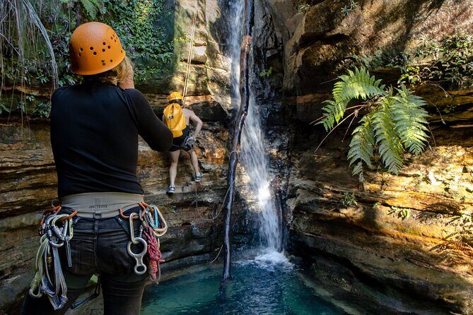 Juggler Canyon and Abseiling Adventure Blue Mountains - Authentic Feedback from Participants