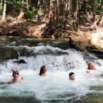 Jumping Croc Cruise, Berry Springs,Fogg Dam & Humpty Doo Pub - Final Thoughts: Is This Tour Right for You?