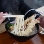 Kagawa: E-Bike Rental to Hidden Udon Recommended by Locals - Who Would Enjoy This Experience?
