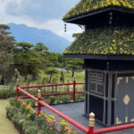 Kagoshima: Volcano & Nature Immersion Private Guided Tour - Exploring the Itinerary: What You Can Expect