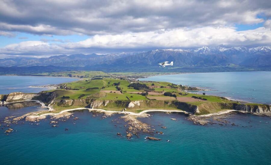 Kaikoura: Coastal and Alpine Scenic Airplane Flight - The Experience and Its Value