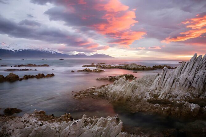 Kaikoura Day Tour From Christchurch - Who Should Consider This Tour?