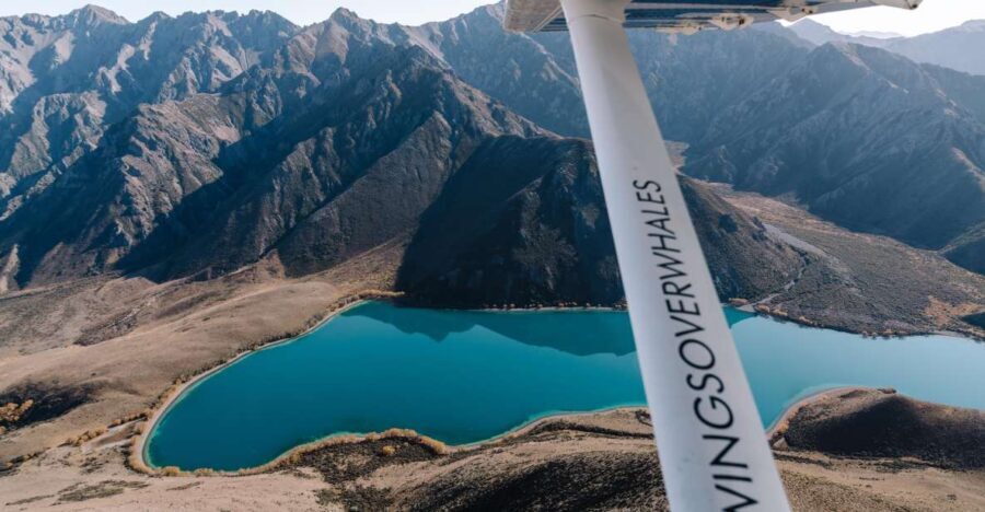 Kaikoura: Extended Flight Whale Watching & Mountain Tour - Why This Tour Stands Out