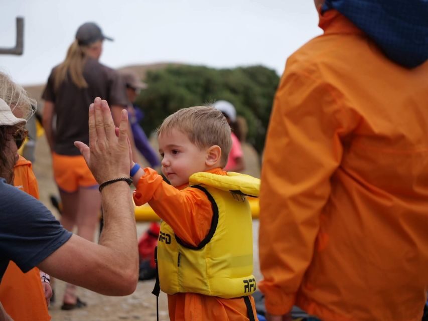 Kaikoura: Guided Family Kayaking Adventure - What to Expect