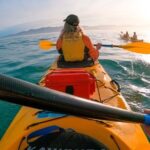 Kaikoura Kayaking Adventure Small Group Tour from Christchurch - Why This Tour Stands Out