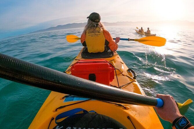 Kaikoura Kayaking Adventure Small Group Tour from Christchurch - Why This Tour Stands Out