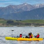 Kaikoura: Private Guided Kayak Tour with Seals - Who Will Love This Tour?