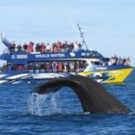 Kaikoura Private Whale Watching Day Trip from Christchurch - Analyzing the Value