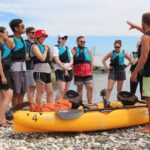 Kaikoura: Seal-Watching Pedal Kayak Tour - Authentic Reviews and Real Experiences