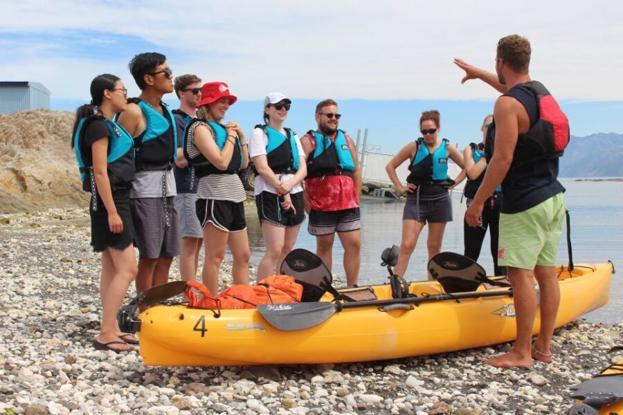 Kaikoura: Seal-Watching Pedal Kayak Tour - Authentic Reviews and Real Experiences