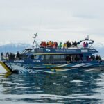 Kaikoura Whale and Dolphin Overnight Tour from Christchurch - Transportation and Accommodation: Comfort and Convenience