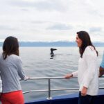 Kaikoura Whale Watch Day Tour from Christchurch - Land Encounters: Seals and the Kaikoura Range
