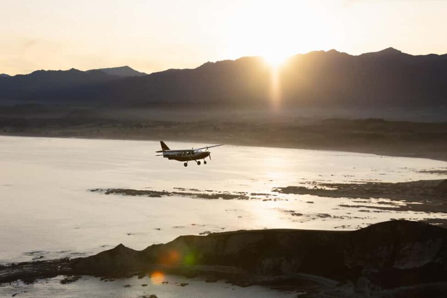Kaikoura: Whale Watching Flight with Commentary - What Do You Actually Do?