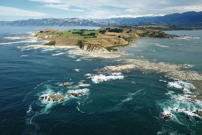 Kaikura Day Tour From Christchurch (Small Group, Carbon Neutral) - Pricing and Value