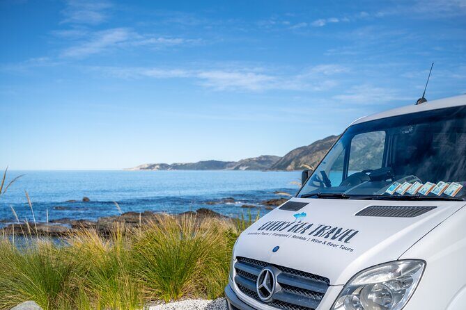 Kaikura Day Tour From Christchurch With Whale Watch - Cheviot: A Scenic Pit Stop