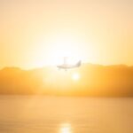 Kaikura Whale Watching Scenic Flight (40 Minutes) - The Flight Itself: What to Expect