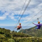 Kaikura: Zipline and Native Forest Adventure Trip - The Ziplining Adventure