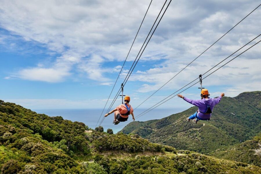Kaikura: Zipline and Native Forest Adventure Trip - The Ziplining Adventure