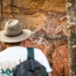 Kakadu, Katherine & Litchfield Camping Tour - What Makes This Tour Stand Out?