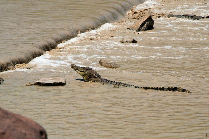 Kakadu National Park Full Day Tour - Sacred Owl Tours - Tour 3A - The Value of This Tour