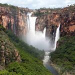 Kakadu National Park Scenic Flight &Yellow Water Cruise - What It Feels Like