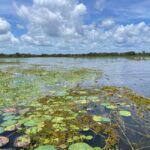 Kakadu VIP Backpackers - What Makes This Tour Stand Out?