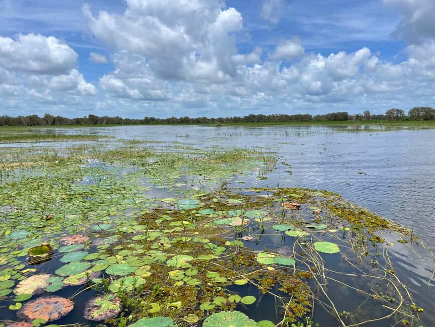 Kakadu VIP Backpackers - What Makes This Tour Stand Out?