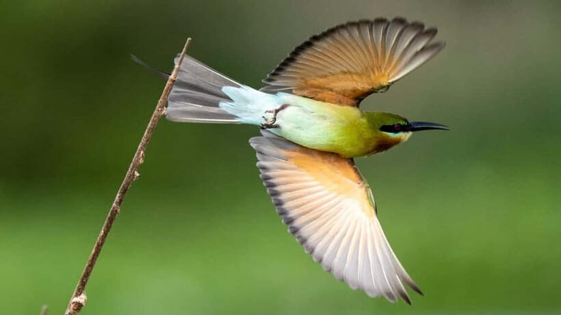 Kalametiya Sanctuary: Bird Watching by Private Boat Tour - Final Thoughts
