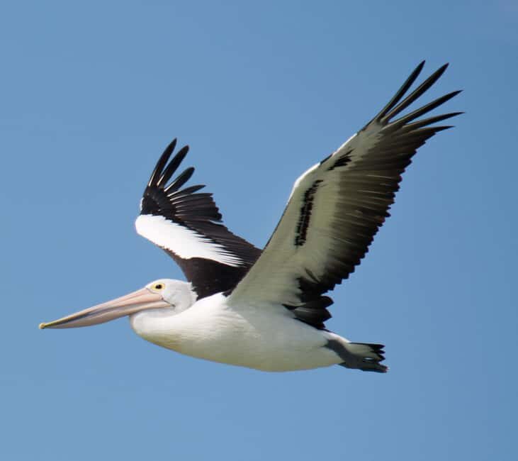 Kalbarri: Murchison River Wilderness Wildlife Cruise - The Itinerary: What You’ll Experience