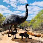 Kalbarri Skywalk Tour - Who Would Love This Tour?