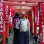 Kamakura: Temples, Shrines & Buddha Walking Tour - What’s Included and What’s Not