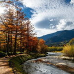 Kamikochi & Matsumoto Castle: Nature & Heritage Day Tour - Who is This Tour Best For?