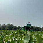 Kampong Phluk Floating Village & Tonle Sap Boat Tour. - Authenticity and Value: Why This Tour Packs a Punch