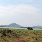 Kampot Pepper farm Enjoy Tour & Testing our process 4 free - What Makes This Tour Stand Out