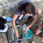 Kanazawa: Fishing Experience with Gyotaku and Cooking - Who Will Love This Tour?