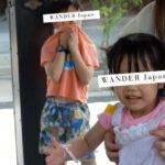 Kanazawa Walking Tour From Local to Major Highlights - What Makes This Tour Stand Out?