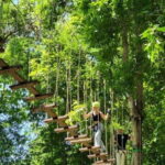 Kanchanaburi: Tree Top Zipline and Adventure Course - Price and Value Analysis