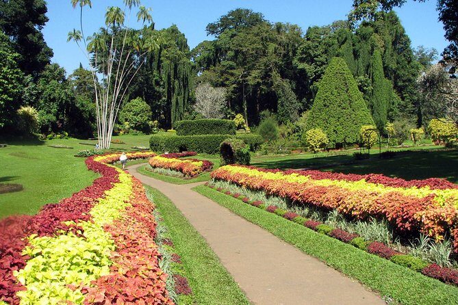Kandy City Tour - Practical Details & Tips
