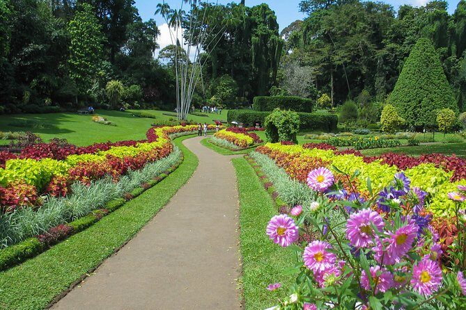 Kandy City Tour from Bentota - What to Expect from the Tour