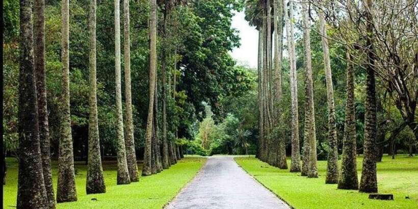Kandy & Nuwara Eliya: 2-Day Tour! - The Itinerary Breakdown: What Makes Each Stop Special?