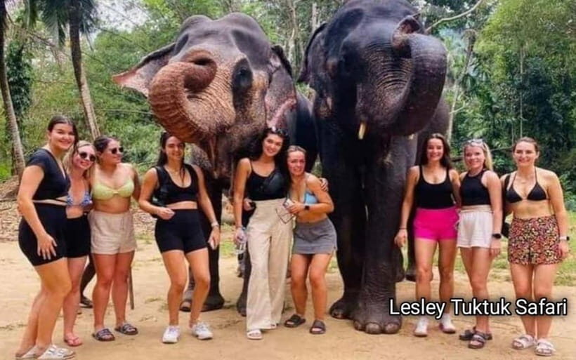 Kandy : Pinnawala Elephant Safari Tour with Kandy City Tour - Pinnawala Elephant Orphanage: Encountering Gentle Giants