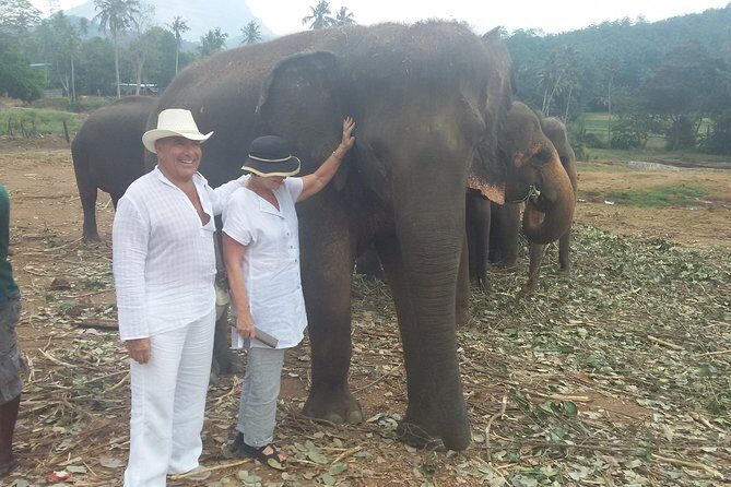 kandy private day tour - What Travelers Say