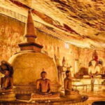 Kandy to Sigiriya Day Tour by Local - The Value of This Tour
