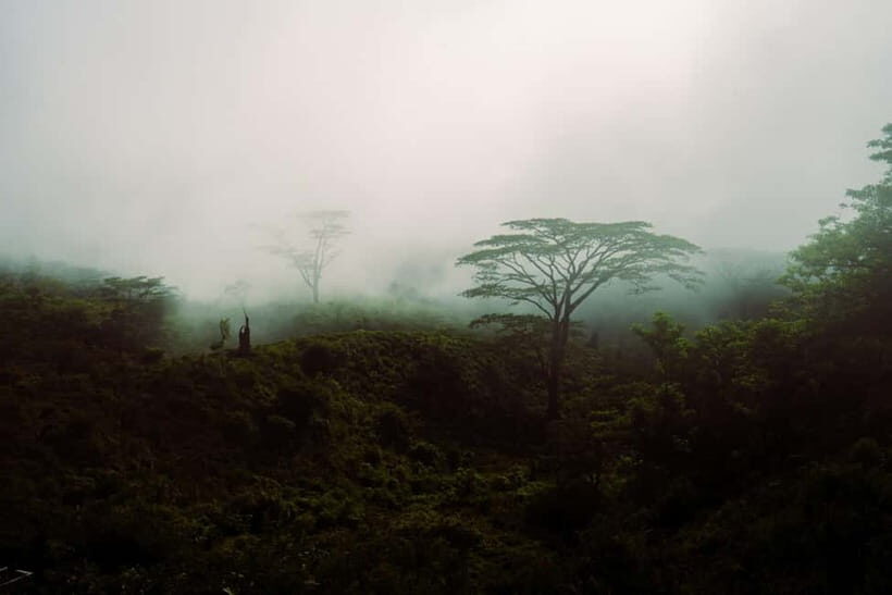 Kandy(Meemure): Knuckles Range Guided Small-Group Hike - Detailed Itinerary and What to Expect