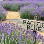 Kangaroo Island 3 Day All Inclusive Tour - Logistics, Comfort, and Value