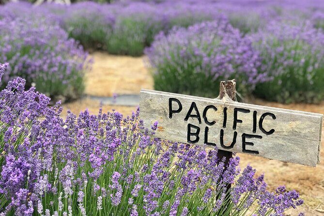 Kangaroo Island 3 Day All Inclusive Tour - Logistics, Comfort, and Value
