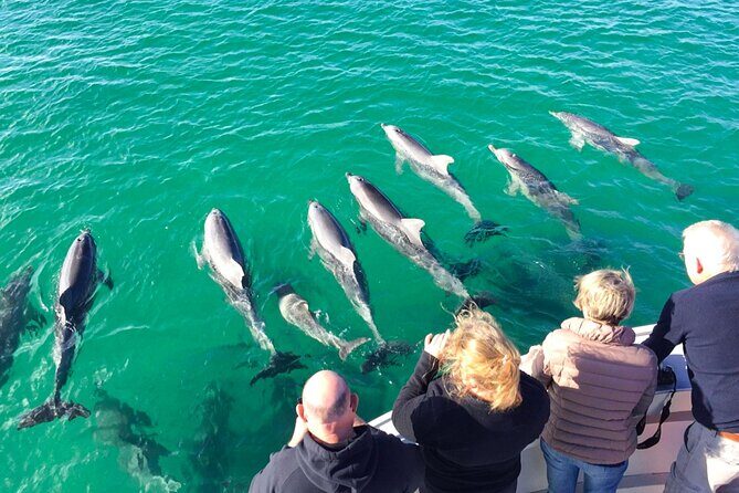 Kangaroo Island 75-Minute Coastal Safari - The Sum Up