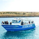 Kangaroo Island: Dolphin, Seal, and Swimming Boat Tour - Key Points