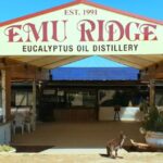 Kangaroo Island: Half-Day Tour Guided Coach Tour - What to Expect and Practical Tips
